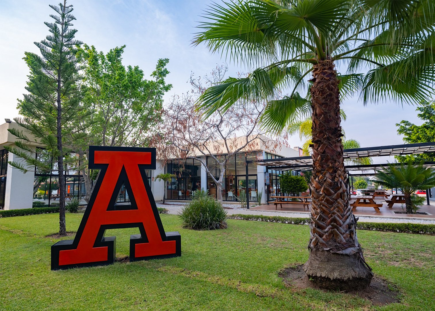 Licenciaturas Universidad Anáhuac Oaxaca